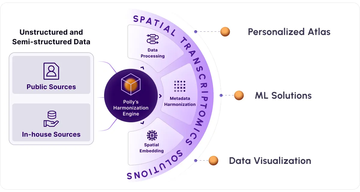Deconvolution in Spatial Transcriptomics